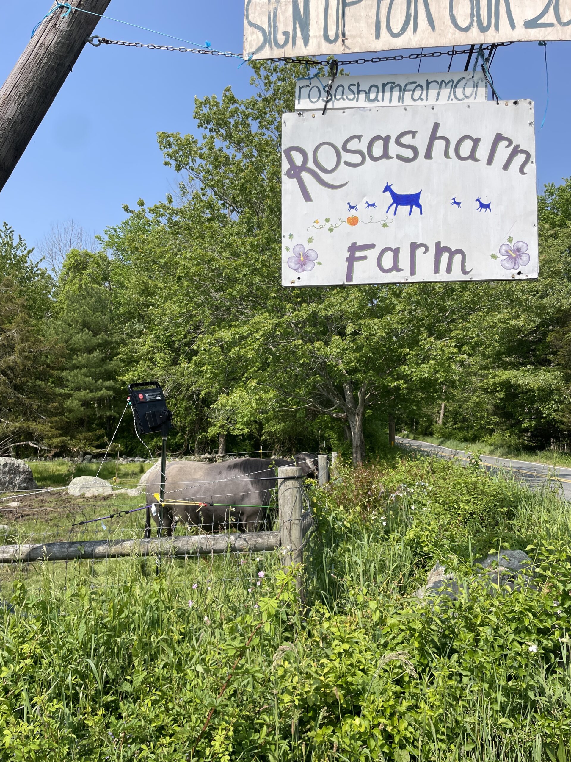 What Is Farming? What Is Gardening? – Barrington Farm School